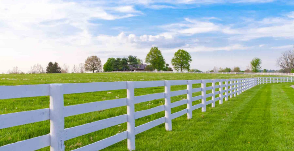 Home - Fence Installation & Services